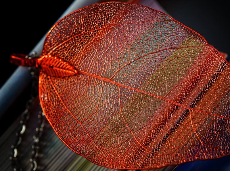 Hoja Natural Galvada En Color Naranja Imagen de archivo - Imagen de ...