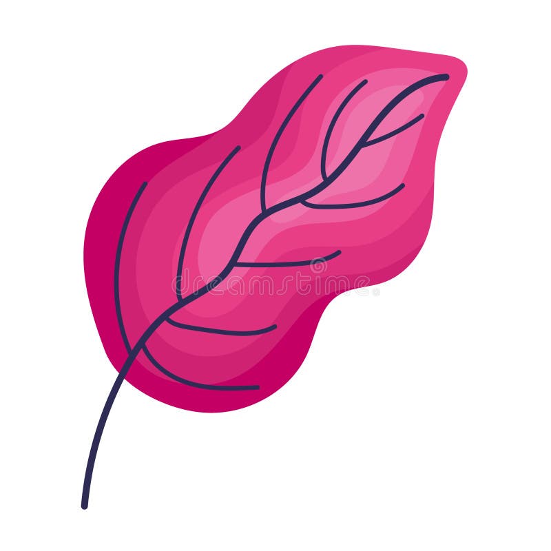 Hoja rosa aislada ilustración del vector. Ilustración de floral - 214646816