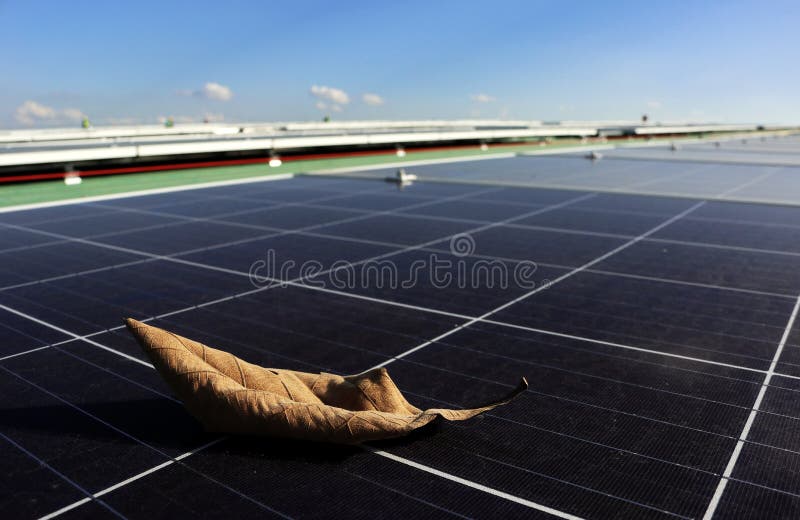 Hoja Seca En Superficie Del Panel Solar Imagen de archivo - Imagen de ...