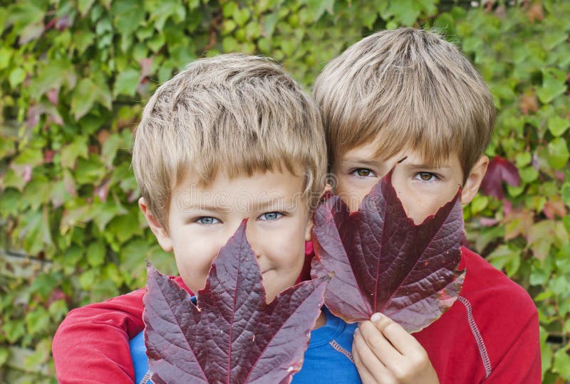 Hojas de Billy Charlie imagen de archivo. Imagen de gente - 36343467