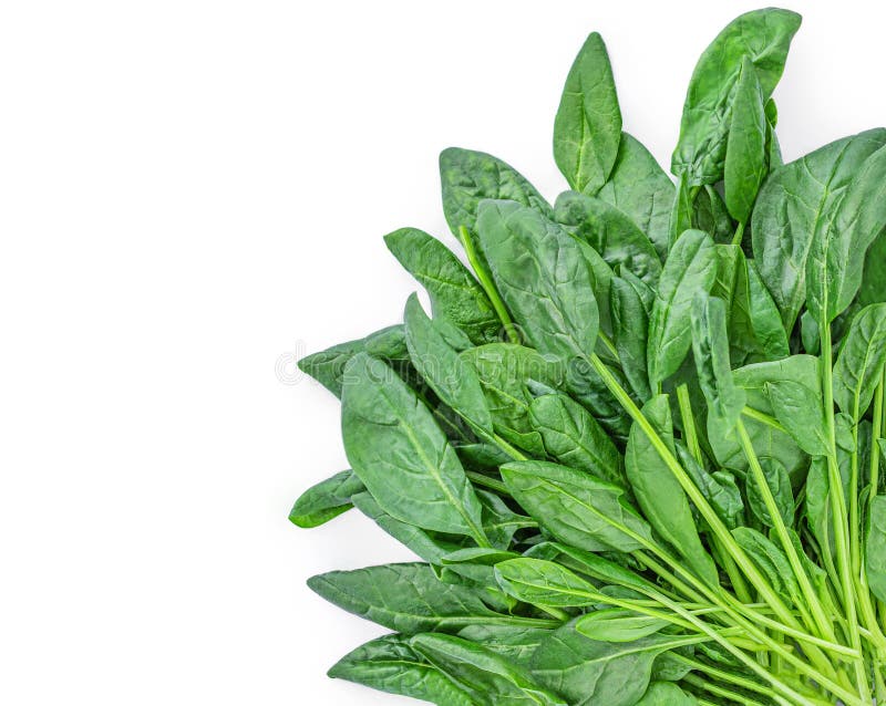 Hojas De Espinacas Aisladas En Fondo Blanco. Macro De Hoja De Espinacas ...