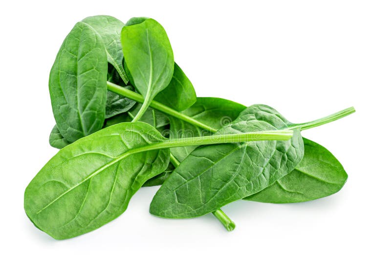 Hojas De Espinacas Aisladas En Fondo Blanco. Macro De Hoja De Espinacas ...