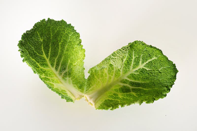Hojas De La Col De Col Rizada Imagen de archivo - Imagen de coma ...