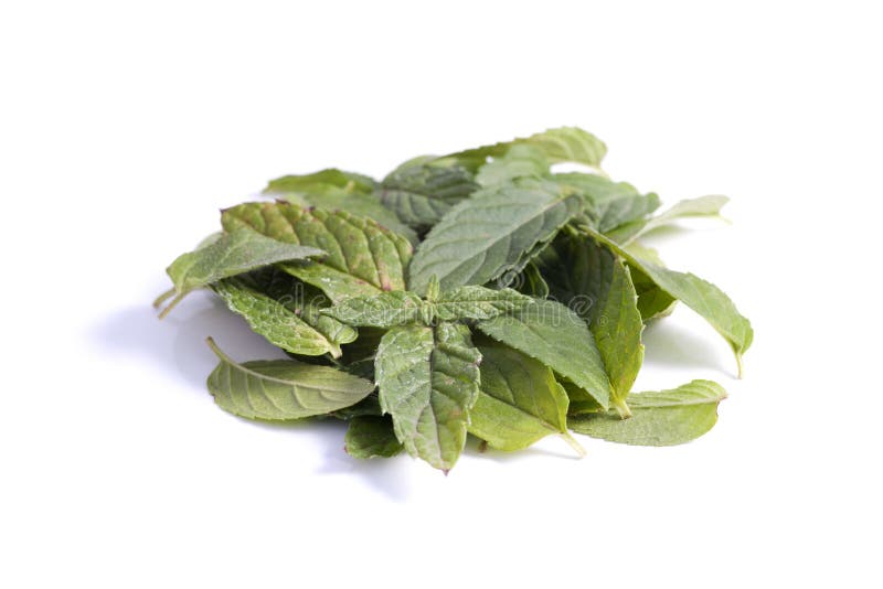 Hojas De La Hierbabuena En Blanco. Foto de archivo - Imagen de frescura ...
