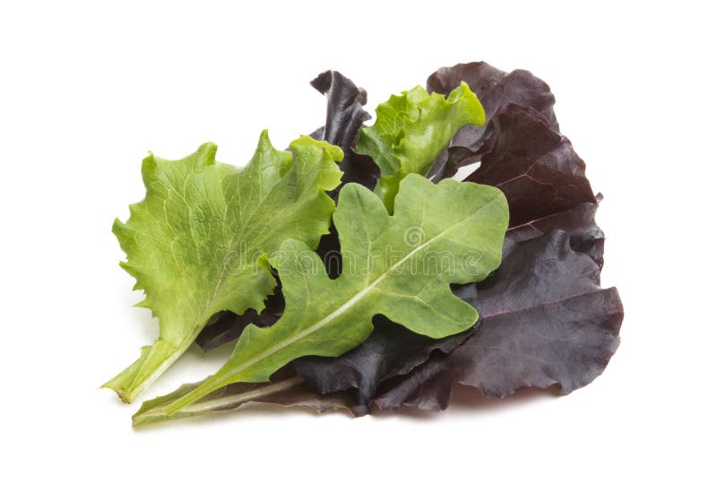 Hojas De La Lechuga Aisladas Foto de archivo - Imagen de lifestyle ...