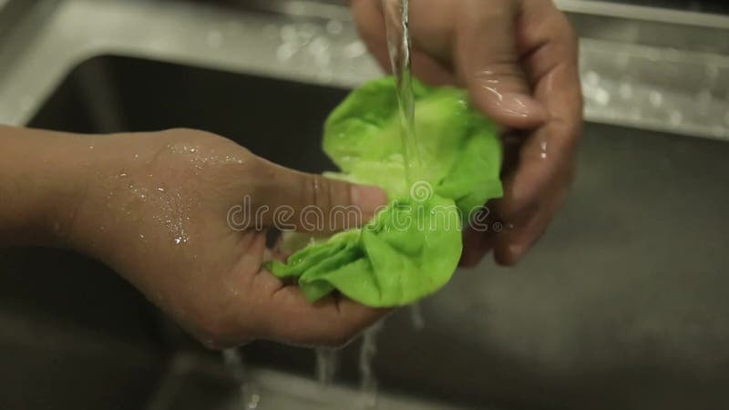 Hojas De Lechuga De Lavado De Lechuga Con ángulo De Agua 2 Metrajes ...