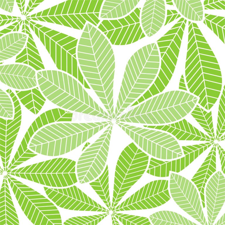 Hojas de palma en blanco ilustración del vector. Ilustración de verano ...