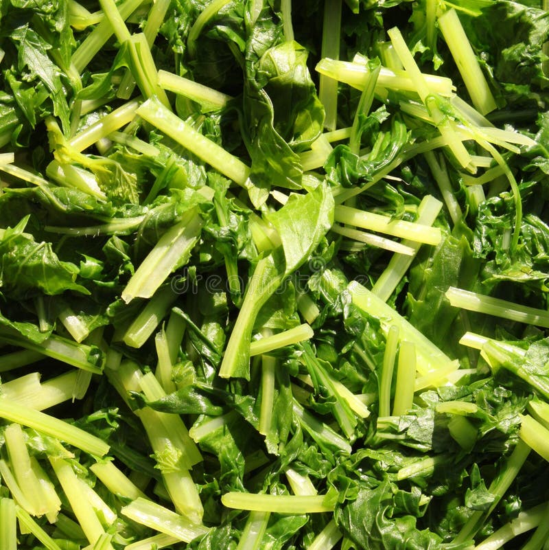 Hojas del nabo imagen de archivo. Imagen de fresco, fondo - 19747207