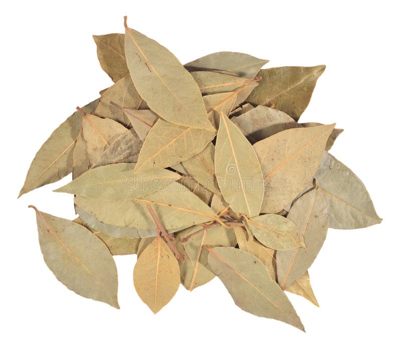 Hojas Secas Del Laurel De Bahía En Un Blanco Imagen de archivo - Imagen ...