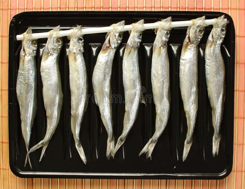 Hokaido s dried fish stock photo. Image of preserve, rural - 2773884