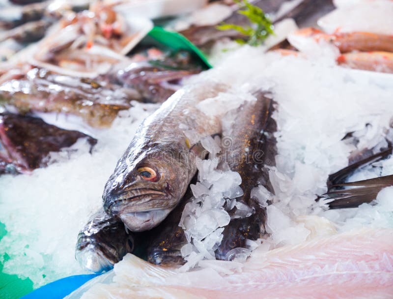 Hoki op vissenmarkt stock afbeelding. Image of teller - 81476685