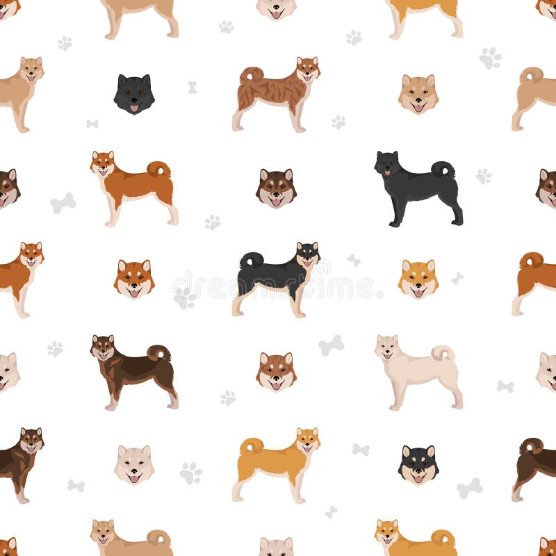 Hokkaido Dog, Ainu Dog Seamless Pattern. Different Poses, Coat Colors ...