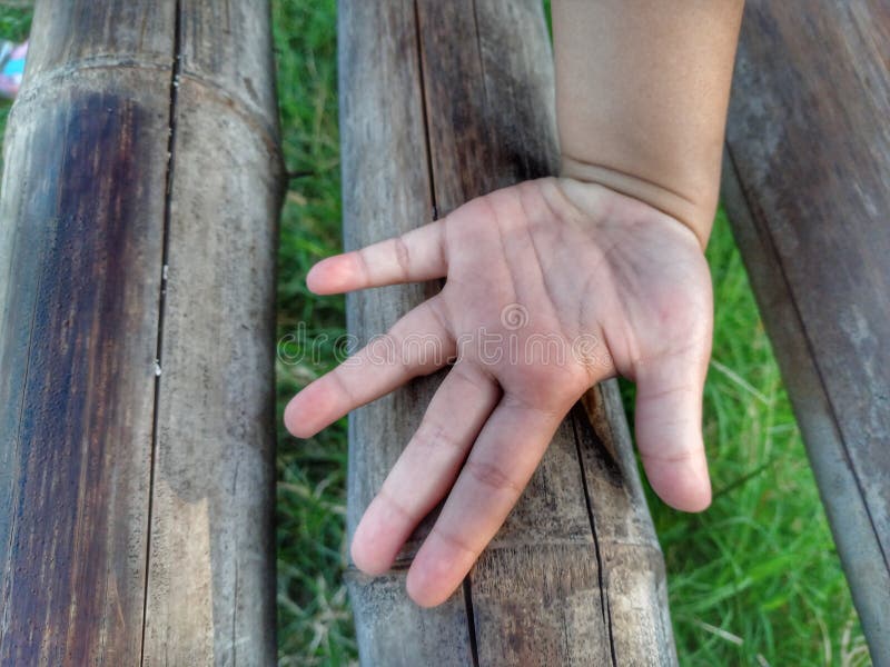 Hold My Hand, Grab the Future Stock Photo - Image of hold, future ...