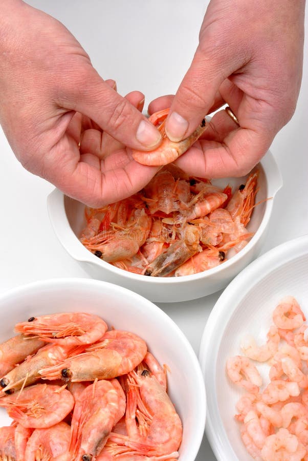 Hold and Prepare Some Prawns To Eat Stock Image - Image of healthy ...
