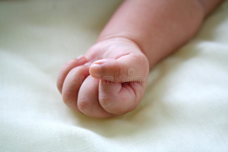 Baby Arm stock photo. Image of hand, innocent, young, care - 1567100