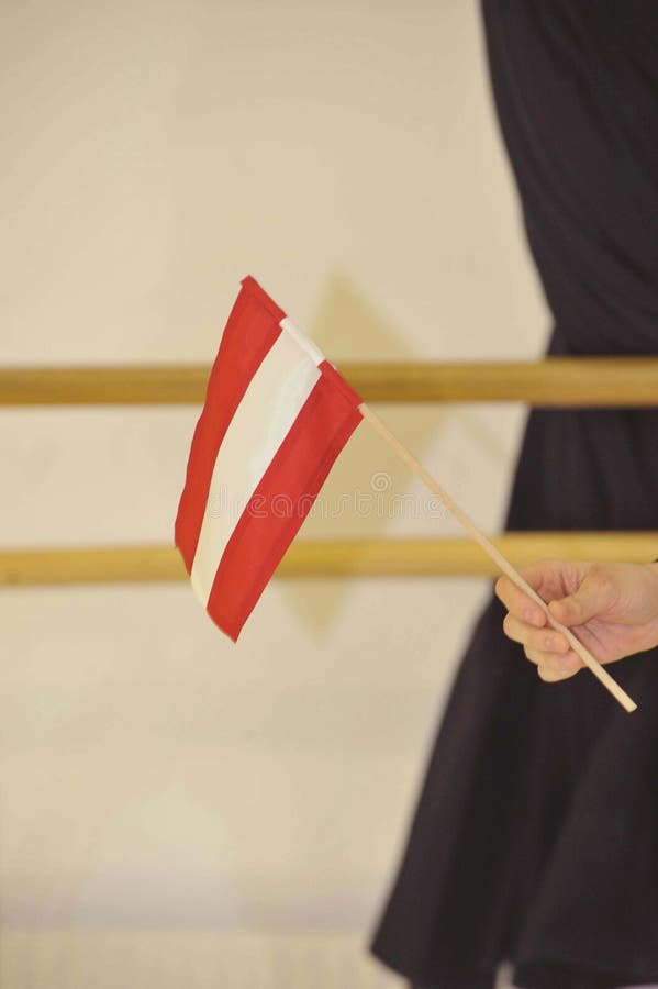 Holding Austrian Flag in One Hand Stock Photo - Image of symbol, europe ...
