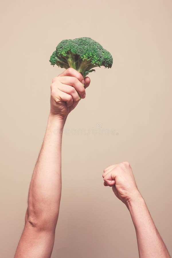 Handshake stock photo. Image of bright, caucasian, friend - 2103850