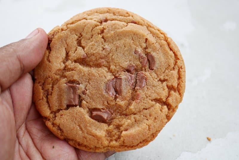 Holding a Brown Cooking on White Stock Photo - Image of delicious, diet ...