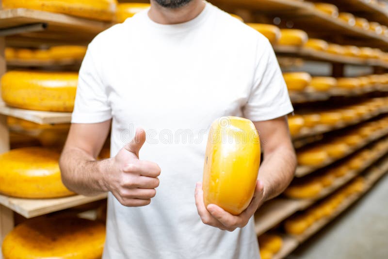 Holding Cheese Wheel at the Storage Stock Image - Image of industry ...