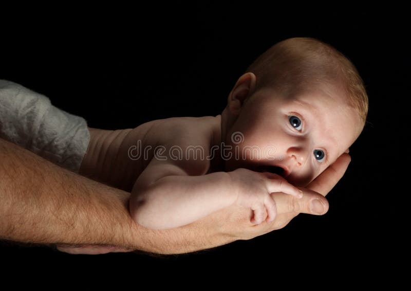 Family hands stock photo. Image of holding, pinky, wedding - 9995486
