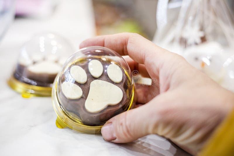Holding a Chocolate Paw Print Cookie Stock Photo - Image of dessert ...
