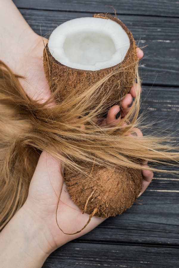 Holding coconut in hands stock photo. Image of beautiful - 86113980