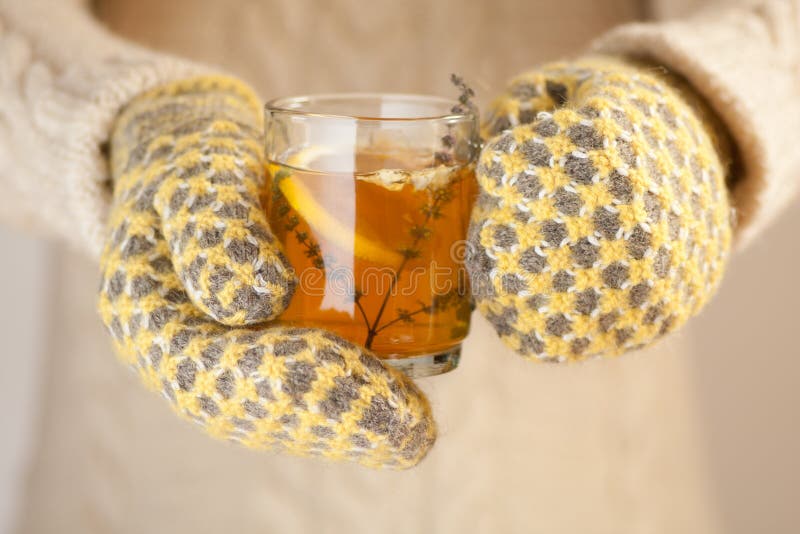 Holding a cup of tea stock photo. Image of season, warm - 28833566