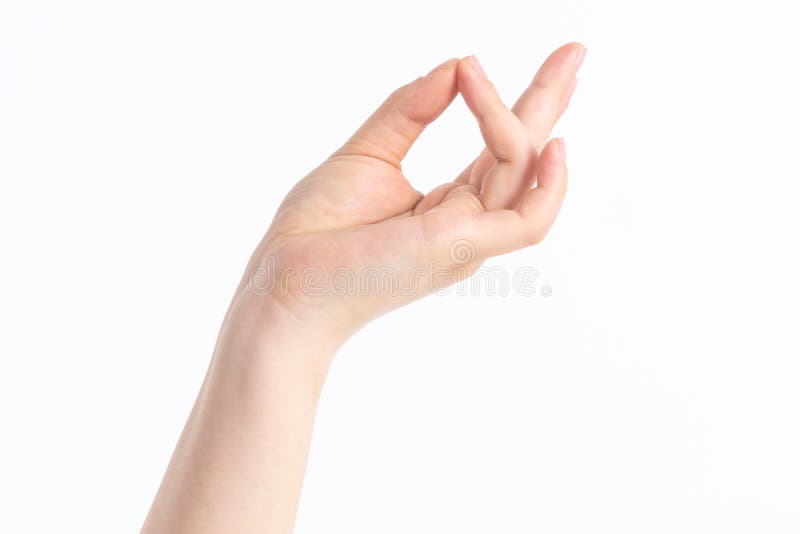 Holding Dramatic Gesture on the White Background Stock Image - Image of ...