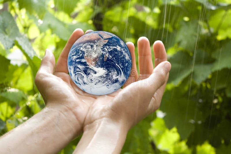 Holding Earth and Green Tree in Hands, World Environment Day Concept ...