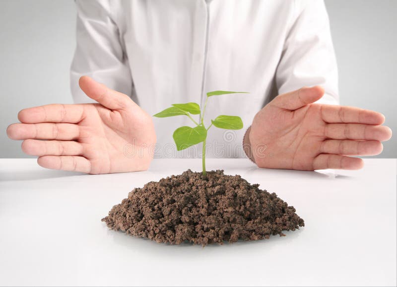 Holding Green Plant in Hand Stock Image - Image of ecology, agriculture ...