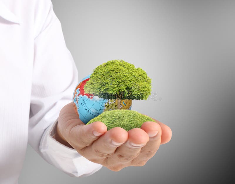 Green tree in hand stock image. Image of agriculture - 31138055