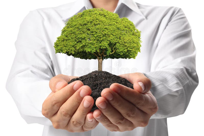 Green tree in hand stock image. Image of agriculture - 31138055