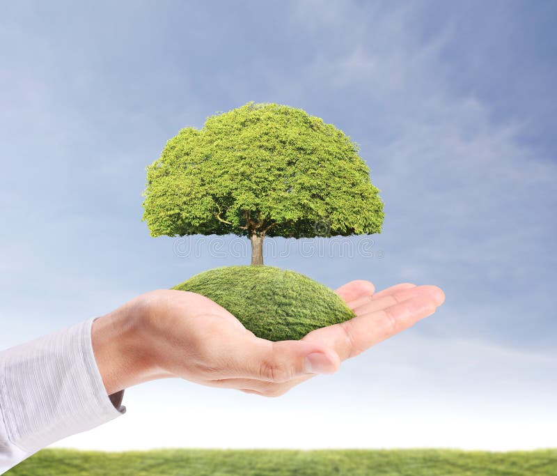 Green tree in hand stock image. Image of agriculture - 31138055