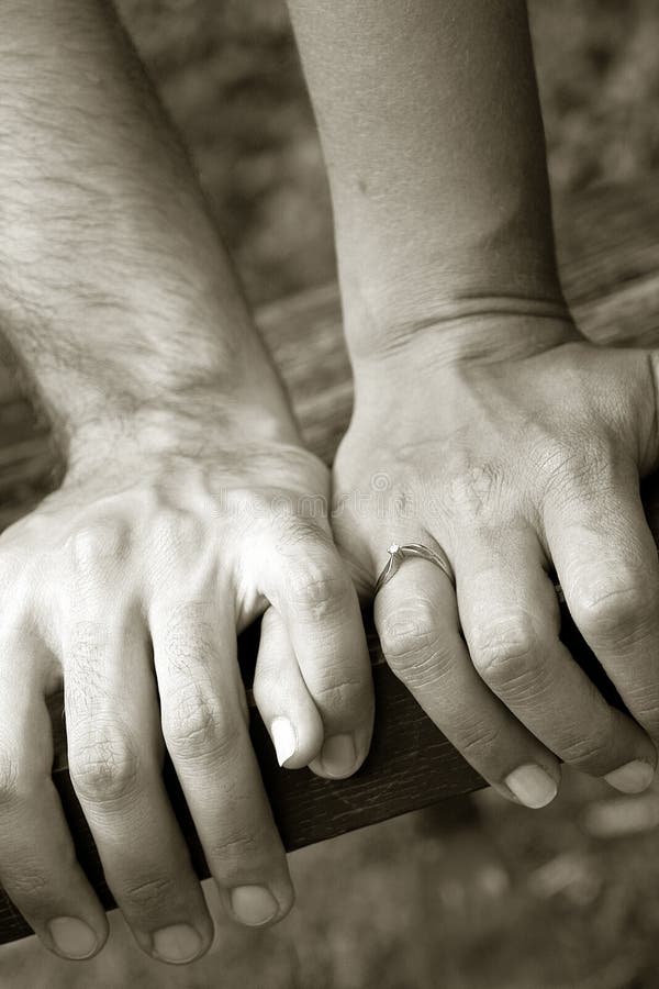 Holding hands stock image. Image of forever, love, affection - 726873