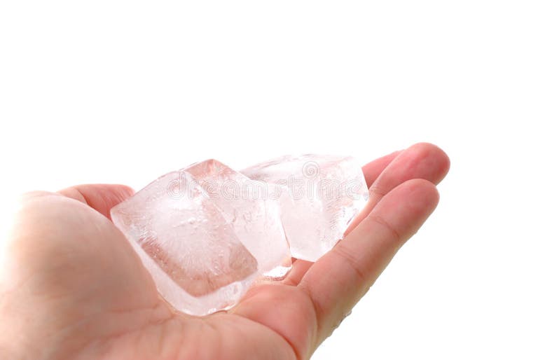 Holding Ice stock photo. Image of server, hand, beverages - 4089832