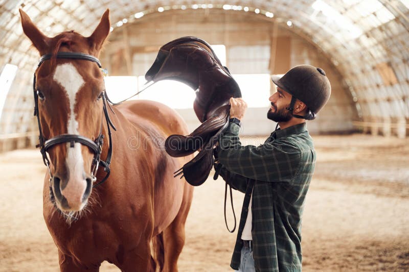 Holding and Installing Saddle. Young Man with a Horse is in the Hangar ...