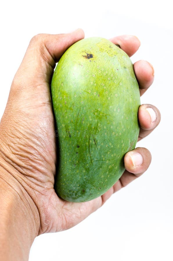 Man Holding Mango in His Hand on the Sea Beach - Tropical Exotic Stock ...