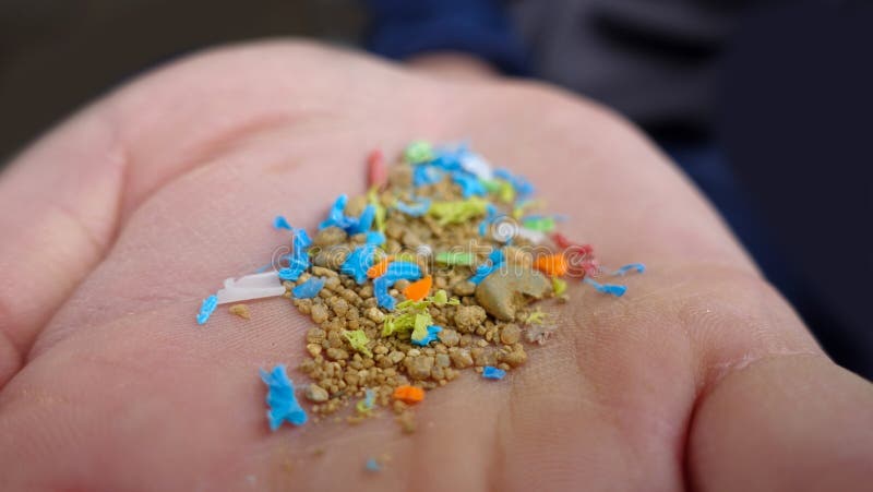 Holding Microplastics from the Sand on the Beach Stock Image - Image of ...