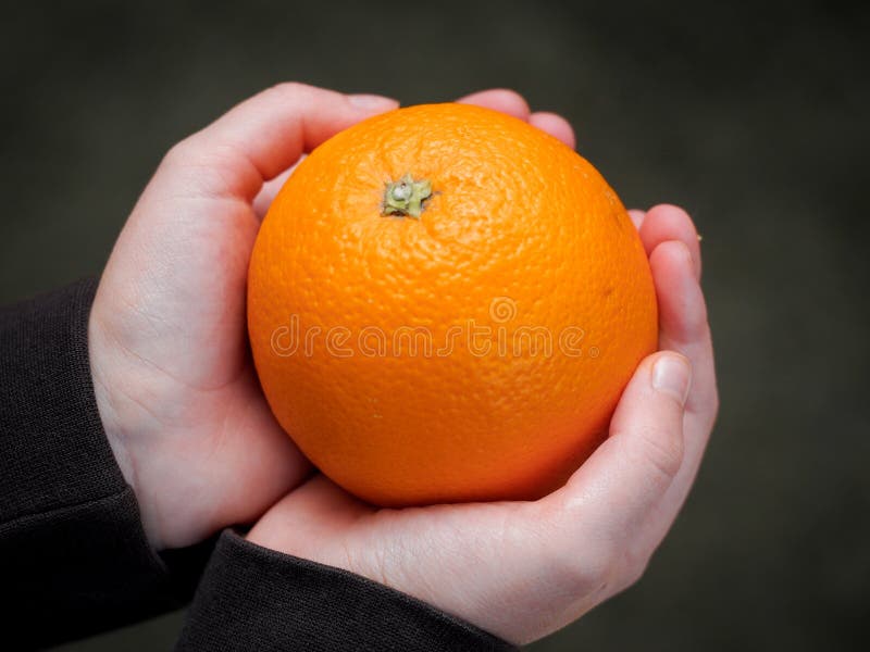 Holding an orange stock photo. Image of finger, orange - 37099000