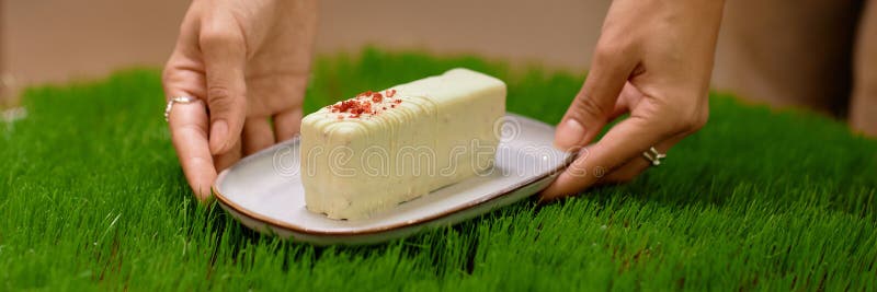 Holding Rectangular Dessert Garnished with Red Topping Stock Image ...