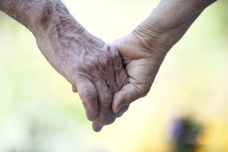 Holding senior hands stock image. Image of mature, dementia - 109867463