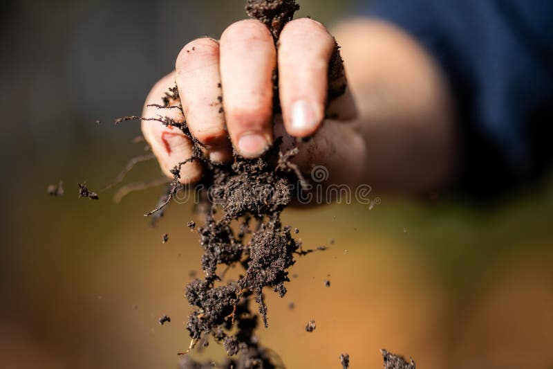 Holding Soil in a Hand, Feeling Compost in a Field in Tasmania ...