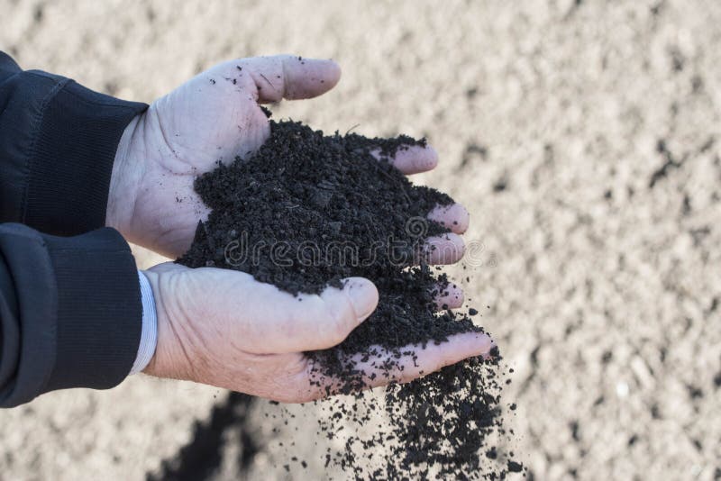 Holding Soil and Humus in Hand Stock Image - Image of earth, production ...