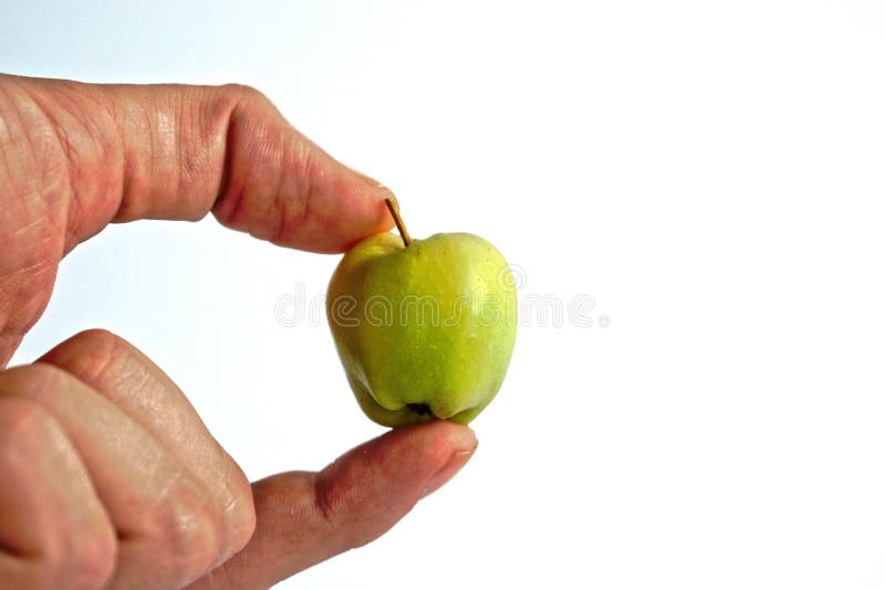 Holding a Tiny Apple stock photo. Image of green, isolated - 81721742