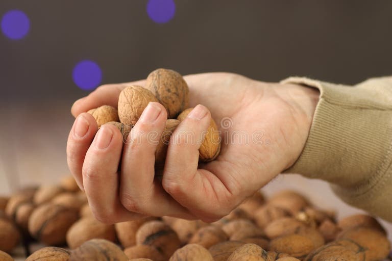Holding walnuts in hand stock image. Image of tree, bokhe - 265639955