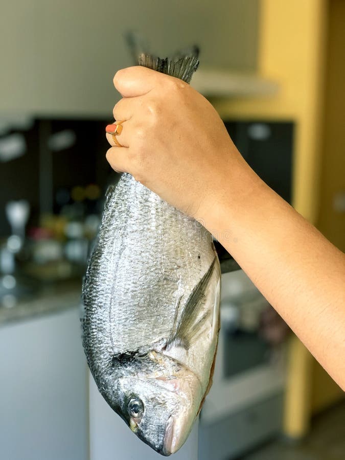Holding a Whole Fish Bought from the Market Stock Image - Image of ...