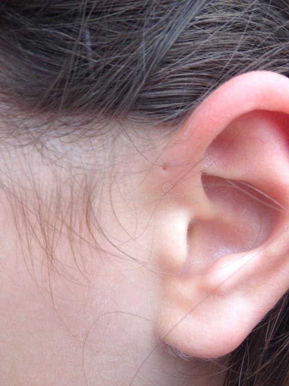 Hole in ear fish gill stock photo. Image of gill, hole - 116024852