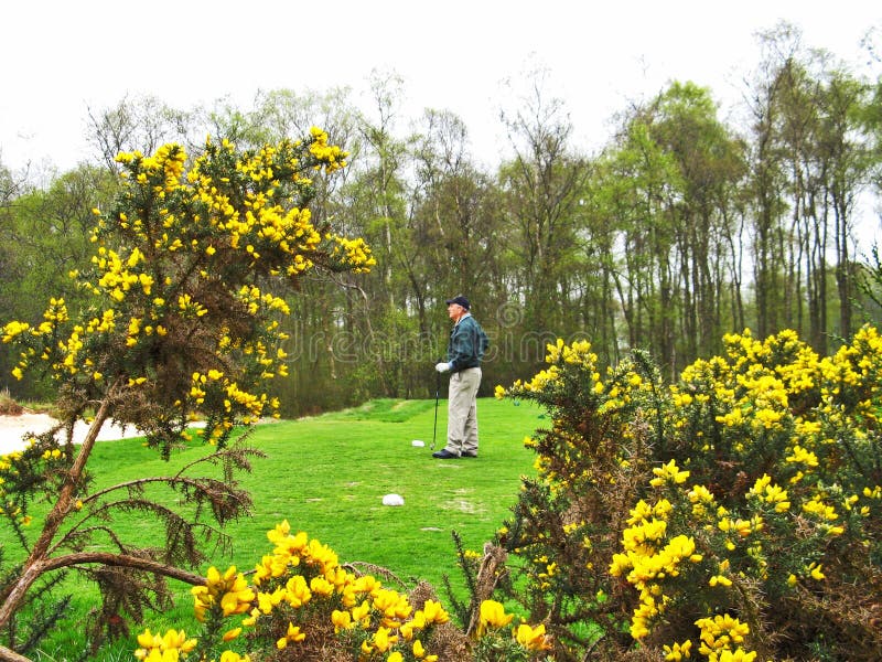 Ashford Castle, Cong, Ireland Editorial Stock Image - Image of hotel ...