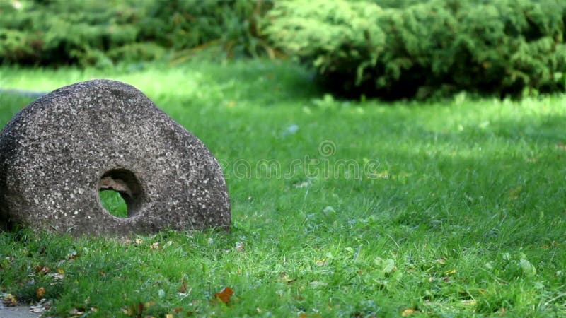 Big millstone stock image. Image of traditional, millstone - 28333583