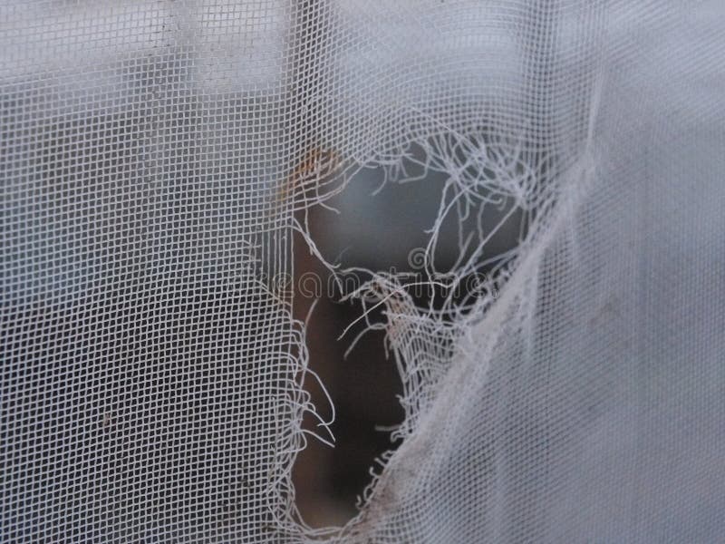 Hole in net. stock image. Image of mesh, netting, torn - 83678493